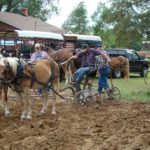 All about the Bowie Foundation and the annual Old Farm Show | Bowie Old ...