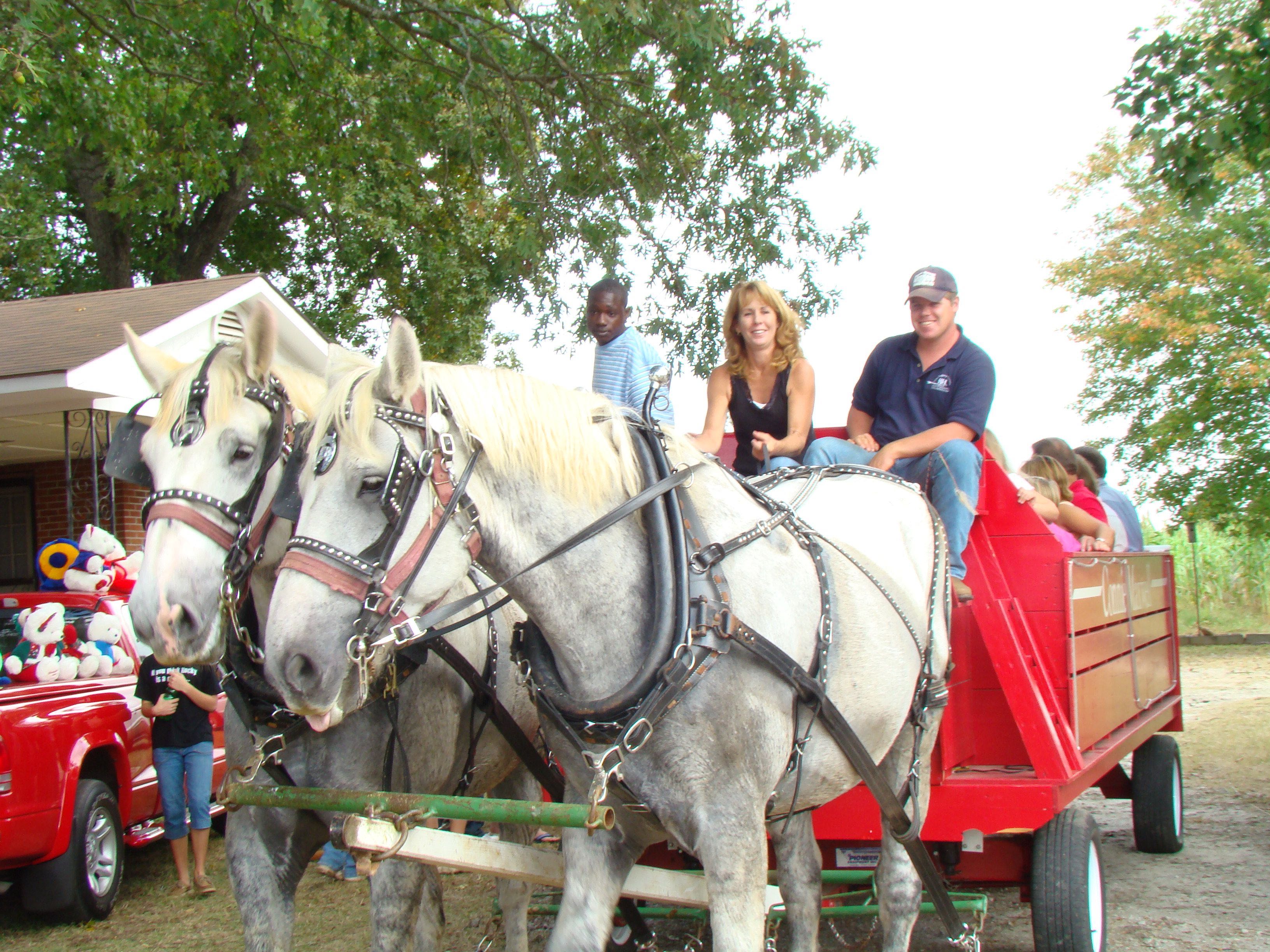 All about the Bowie Foundation and the annual Old Farm Show | Bowie Old ...