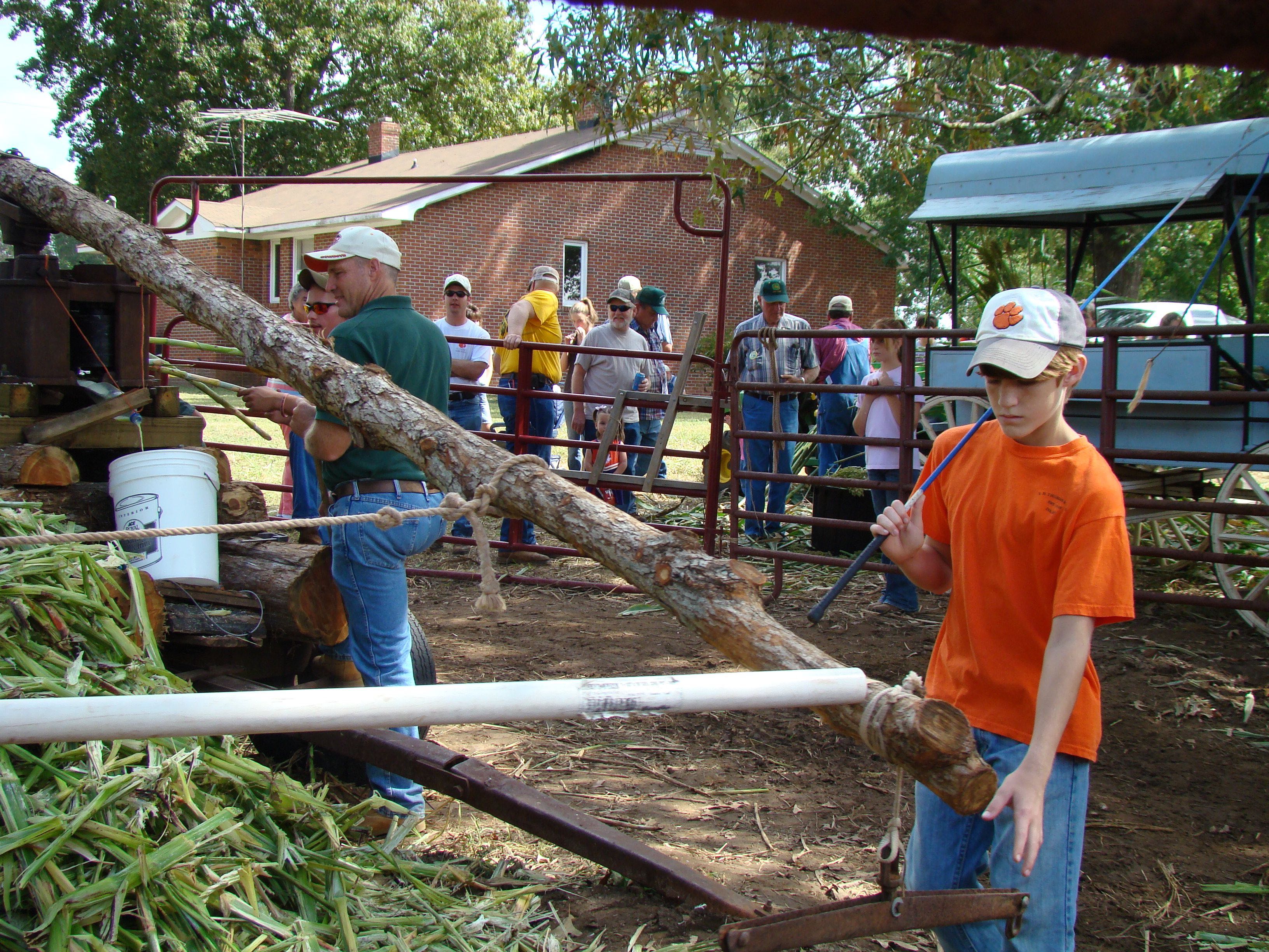 All about the Bowie Foundation and the annual Old Farm Show | Bowie Old ...